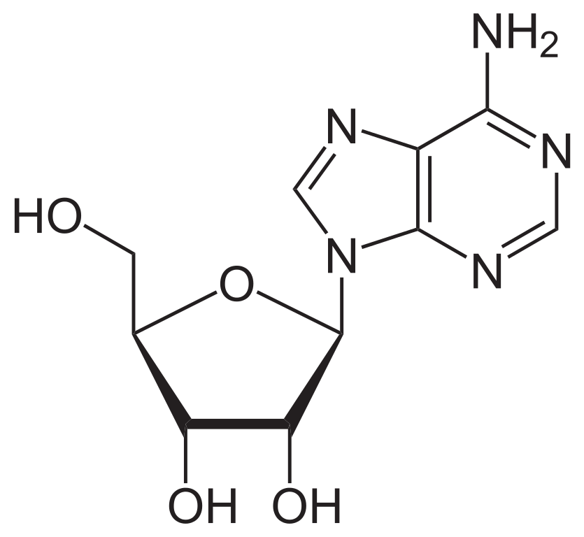 Adenosine for Hair Loss - Hairguard